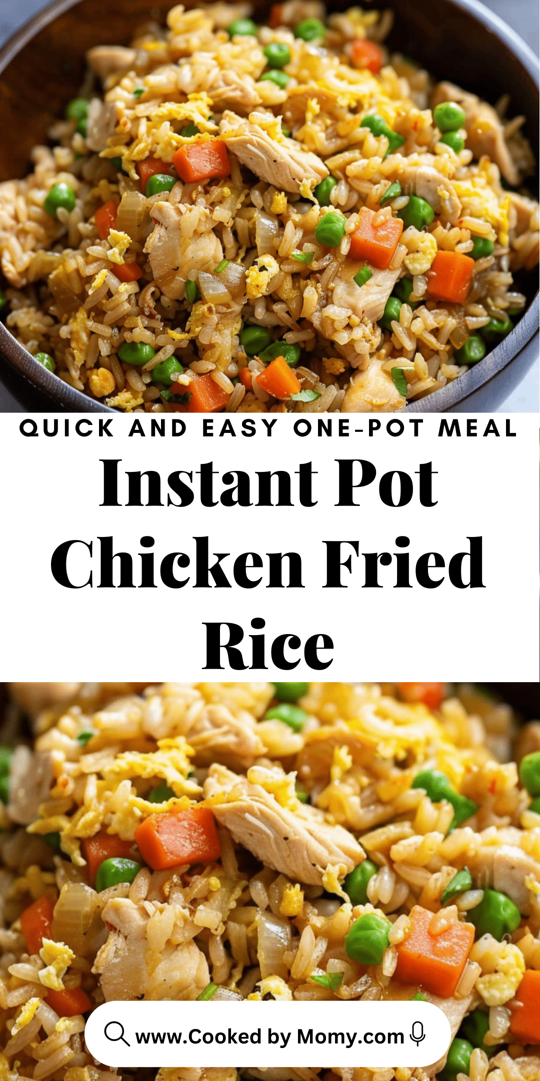Instant Pot Chicken Fried Rice | CookedByMomy